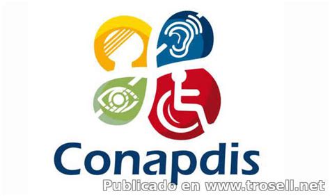 Como Obtener El Certificado De Discapacidad Carnet Del Conapdis