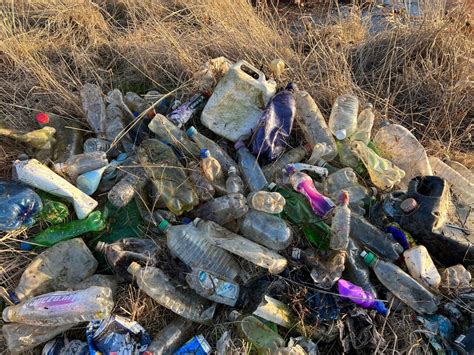 Susan Spink On A Litter Picking Mission Lifes A Beach Uk