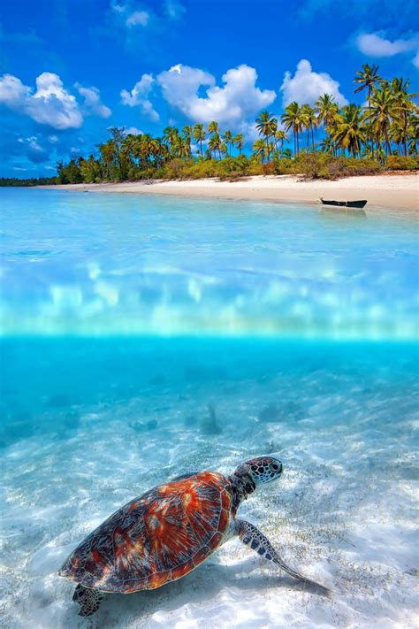Hermosas fotos de diferentes países debajo y sobre el agua