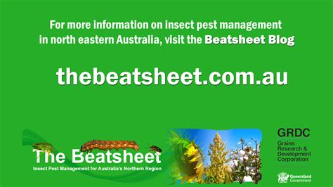 Russian Wheat Aphid Presentation March 2017 The Beatsheet
