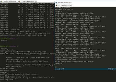 [howto] freenas 11 rancheros docker and portainer page 5