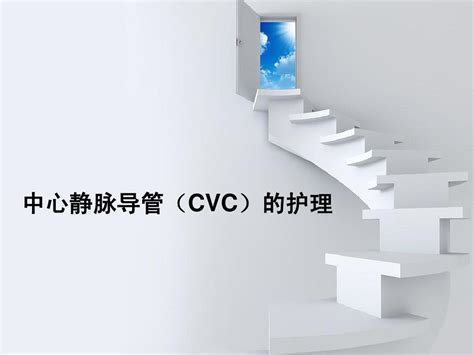 中心静脉导管 word文档在线阅读与下载 无忧文档