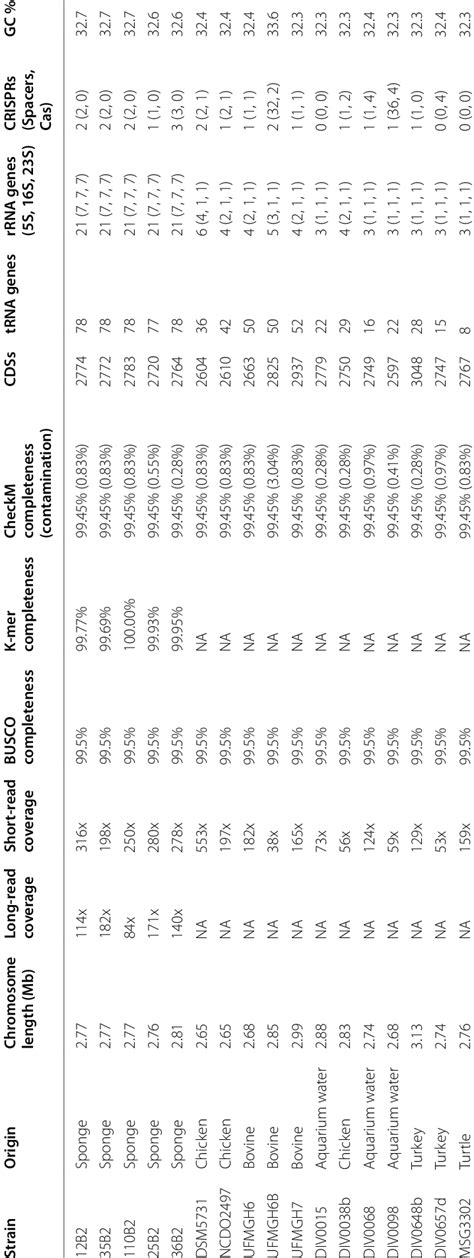General Sequencing Assembly And Genomic Characteristics Of The