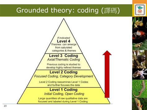 Ppt Grounded Theory Methods 紮根理論方法 Powerpoint Presentation Id