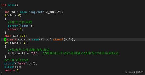 Linux 文件操作和系统接口linux的接口 Csdn博客