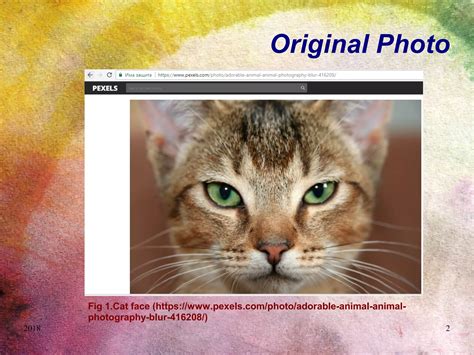 Drtad Blender Tutorial Image Processing Morphing Pdf