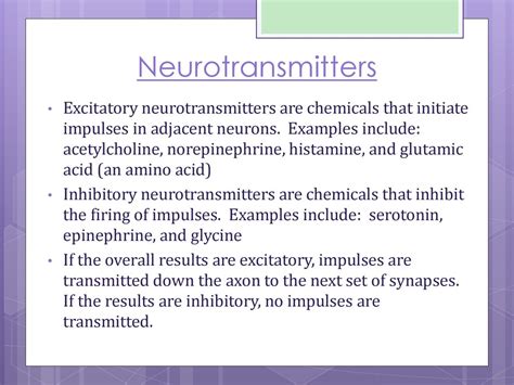Neurons And Synapses Biology Ppt Download