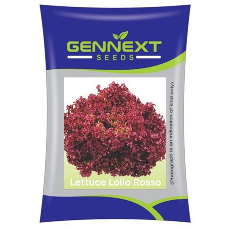 Lollo Rosso Lettuce Seed Packaging Type Packet At ₹ 12000kg In New Delhi