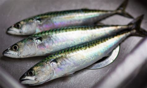 Boquerones En Vinagre El Truco Para Que Queden Blancos Y En Su Punto