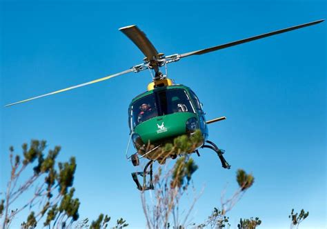 Table Mountain National Park Has Boosted Safety On The Mountain Smile
