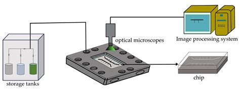 Research Progress On Co2 Capture Utilization And Storage Ccus Based