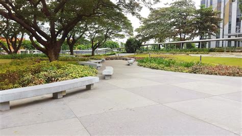 Up Ayala Technohub Kittenish By Myrrh Reyes