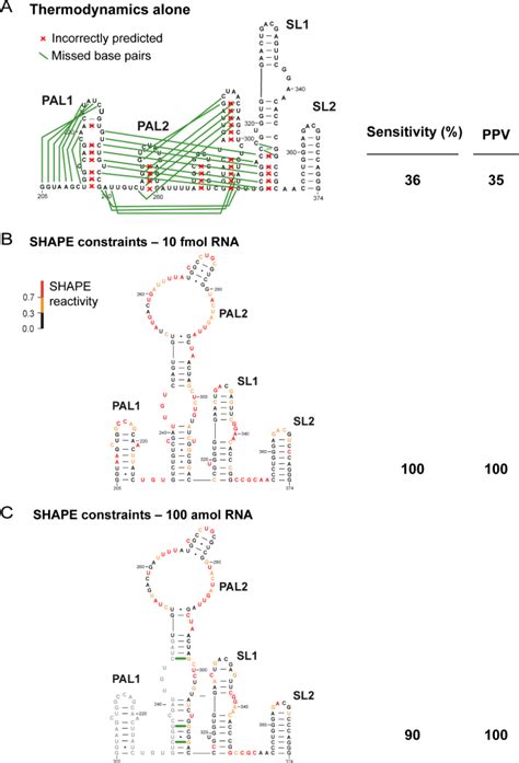 Rna Monomer Structure At Isabel Newell Blog