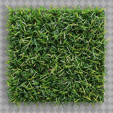 Grass Pattern Psd High Quality Free Psd Templates For Download Freepik