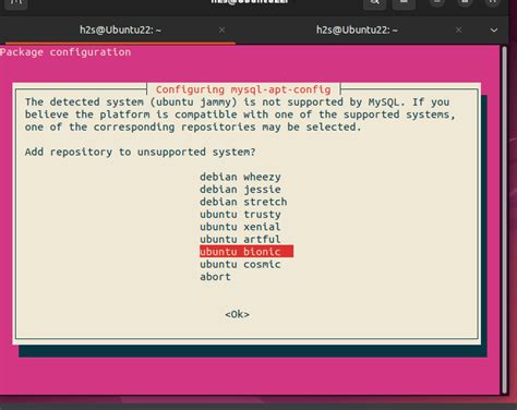 Install MySQL Server And Client On Ubuntu LTS Linux