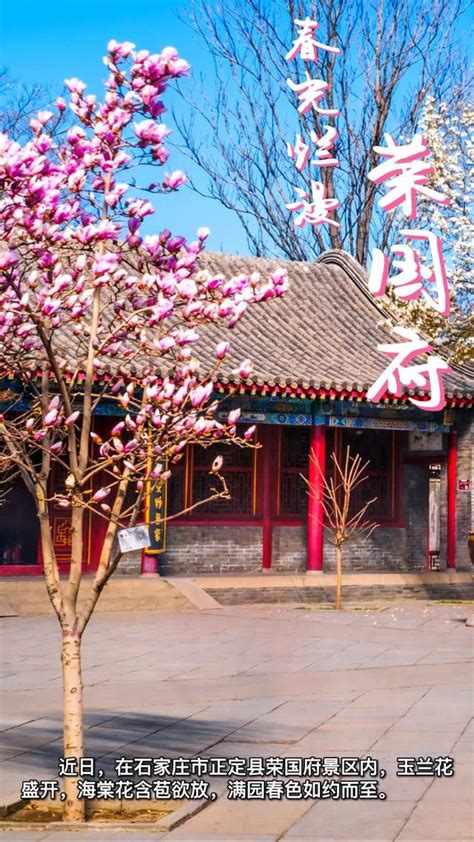 按图索冀丨春光烂漫荣国府