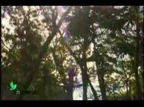 Mia Y Miguel Se Besan En Cozumel Al Otro Dia Se Pelean Youtube