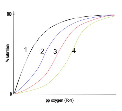 Solved Which Of The Curves Below Show Cooperative Binding