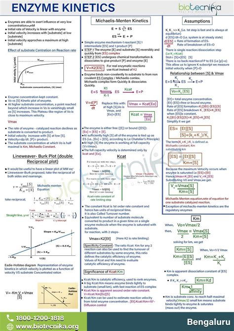 Enzyme Kinetics Biochemistry Notes Medical Babe Stuff Science Notes