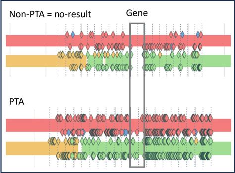 Primarytemplatedirectedamplification Helen Cooper
