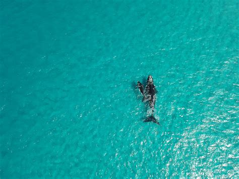 Photography Pepperbox Media