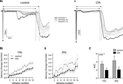 Figure 3 From Inflammatory Pain Reduces C Fiber Activity Dependent
