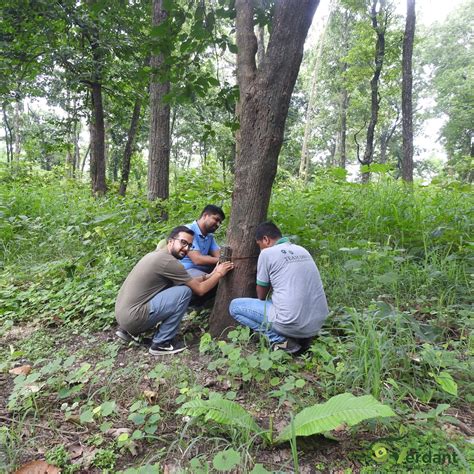 Biodiversity Research And Monitoring Verdant Visionaries Research