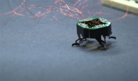 Clari Cu Boulders Squishable Robot Can Squeeze Through Gaps Robotic