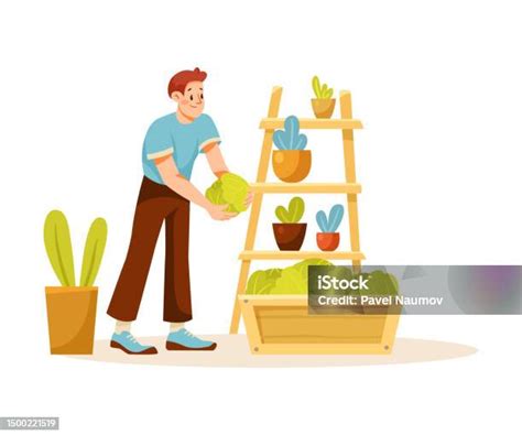 농산물 시장에서 신선한 현지 야채 벡터 그림으로 양배추를 사는 남자 개념에 대한 스톡 벡터 아트 및 기타 이미지 개념 건강한 생활방식 건강한 식생활 Istock