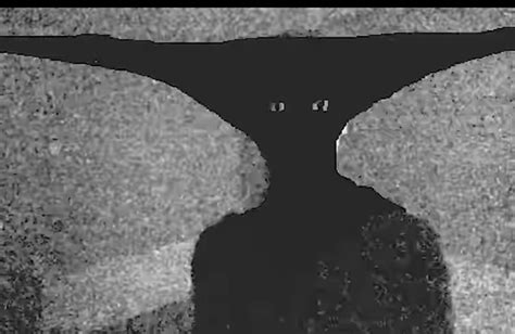 Discuss Everything About Boisvert Wiki Fandom