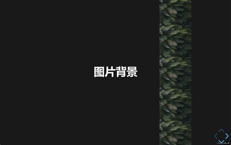 Revealjs Markdown 制作幻灯片——配置选项，幻灯片背景，尺寸，插入媒体，链接 Csdn博客
