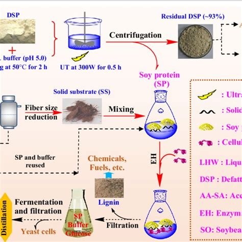 Pdf Promoting Enzymatic Hydrolysis Of Lignocellulosic Biomass By