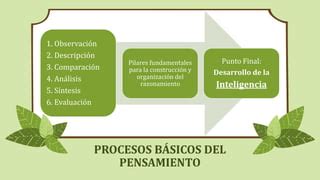 Desarrollo De Habilidades Del Pensamiento PPT