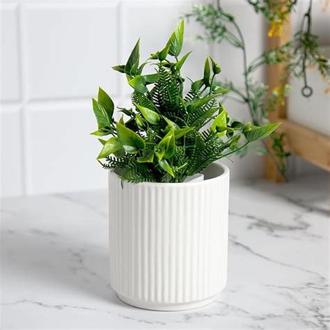 Anko White Linear Pot Small Ceramic Pot With Linear Design Ideal