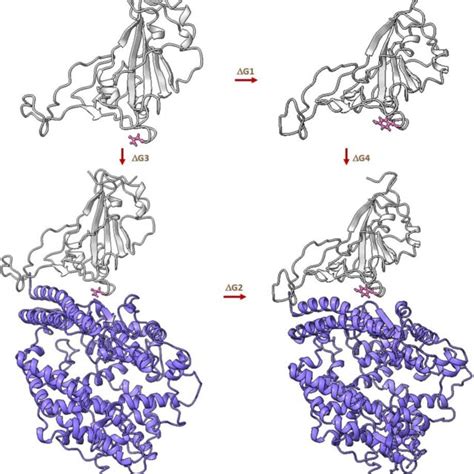 PDF High Throughput Molecular Dynamics Based Alchemical Free Energy