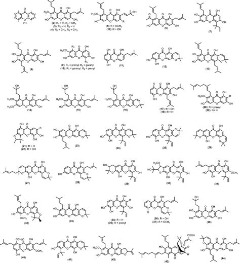 Chemical Structures Of Xanthone And Prenylated Xanthones Download