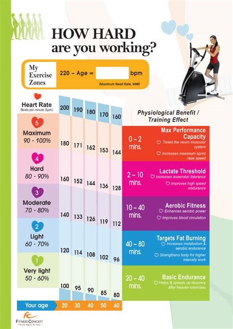 Heart Rate Zones Fitness Concept