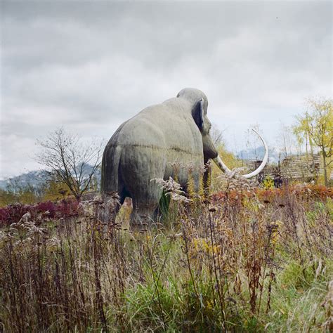 Simen Johan Escape Into Life