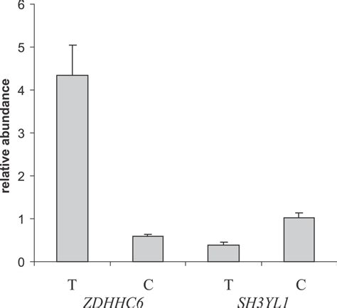 Minigene Transcript Analysis The Graph Shows The Relative Abundance Of
