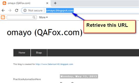 Selenium C Sharp Retrieving Current Of The Page Qafox