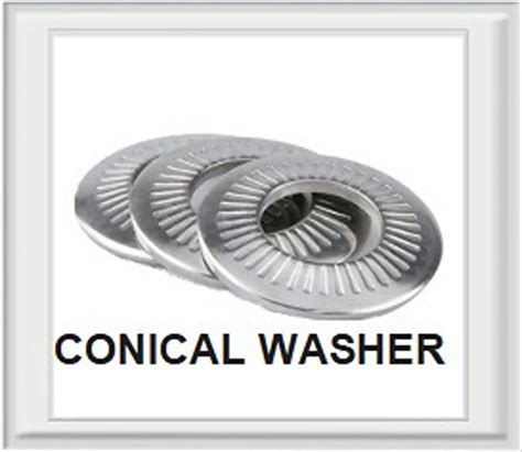 Stainless Steel Conical Washer At ₹ 2piece Star Washer In Vadodara Id 2853876876355