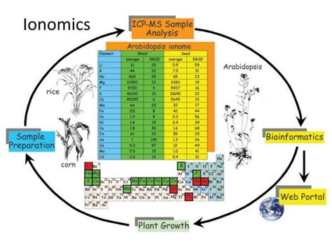 Ionomics Pptx