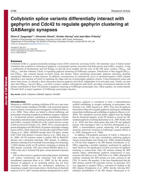 Pdf Collybistin Splice Variants Differentially Interact With Gephyrin