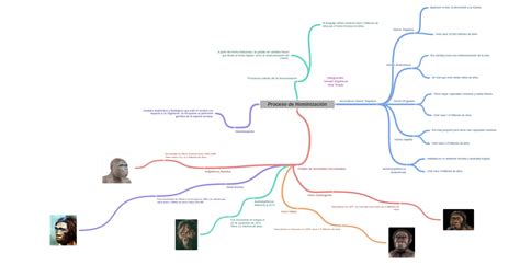 Proceso De Hominización Integrantes Ismael Espinoza Ana Tirado
