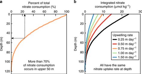 Simple Models Of Nitrate Consumption At The Equator Nitrate Download Scientific Diagram
