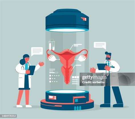 67 Cross Section Coitus High Res Illustrations Getty Images