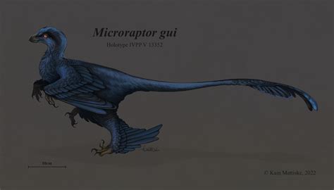 Artstation Microraptor Reconstruction