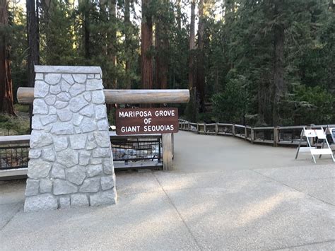 History Of The Wawona Road And Mariposa Grove Yosemite National Park