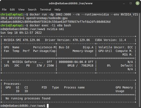 Using Specific GPU With Nodeodm WebODM OpenDroneMap Community