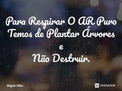 Para Respirar O AR Puro Temos De Miguel Filho Pensador
